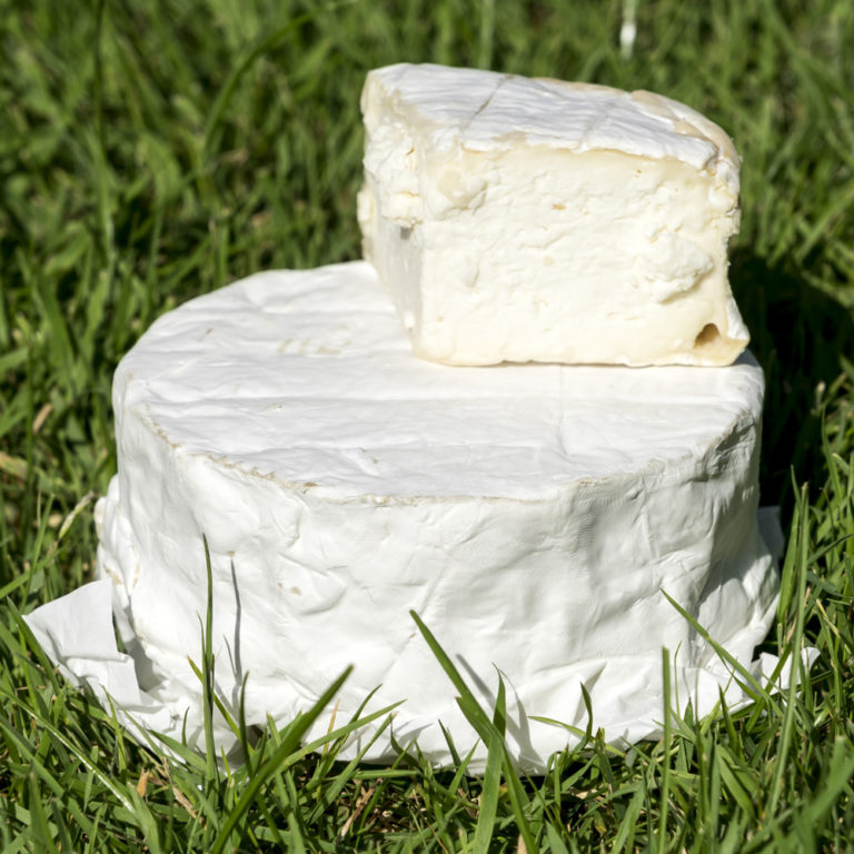 Le Petit Réortais - La Vache Charentaise