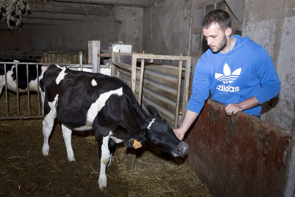 Production & transformation du lait - La Vache Charentaise