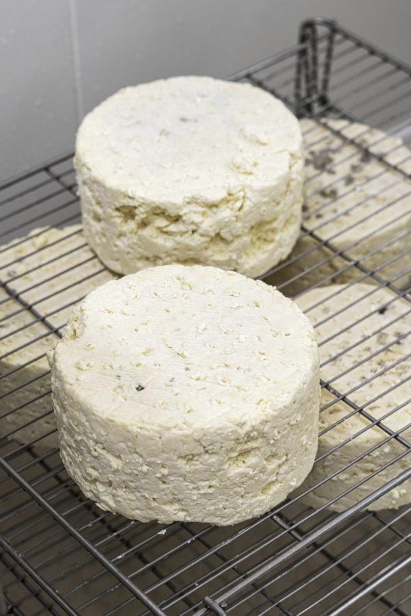 Notre laboratoire de fabrication - La Vache Charentaise